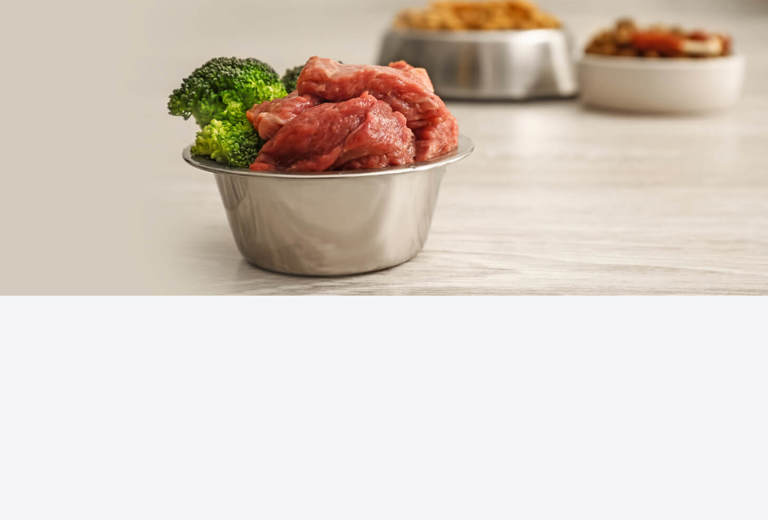 Themenseite BARF | Biocontrol